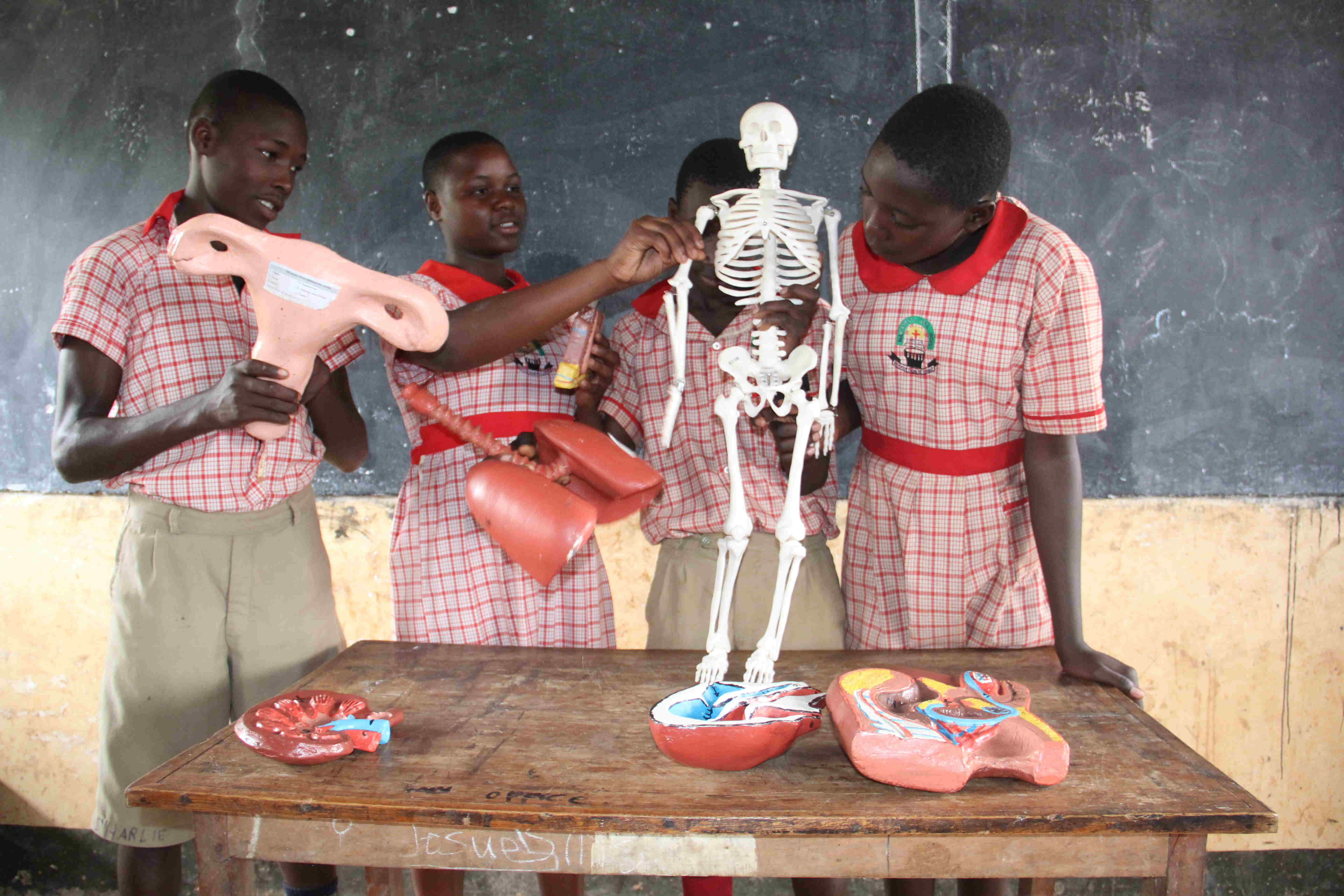 Science Teachers Initiative | Introducing Practical Science Education